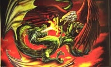 Large 3'x5' Dragon VS Eagle Flag – Polyester Flag for UTV, ATV, Sandra ...